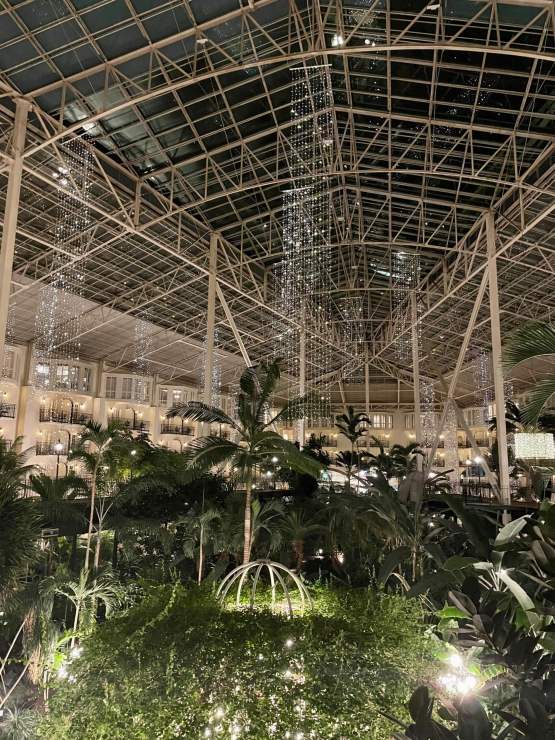 Conference notes: Back from Imaging USA – OAK COVER Magazine