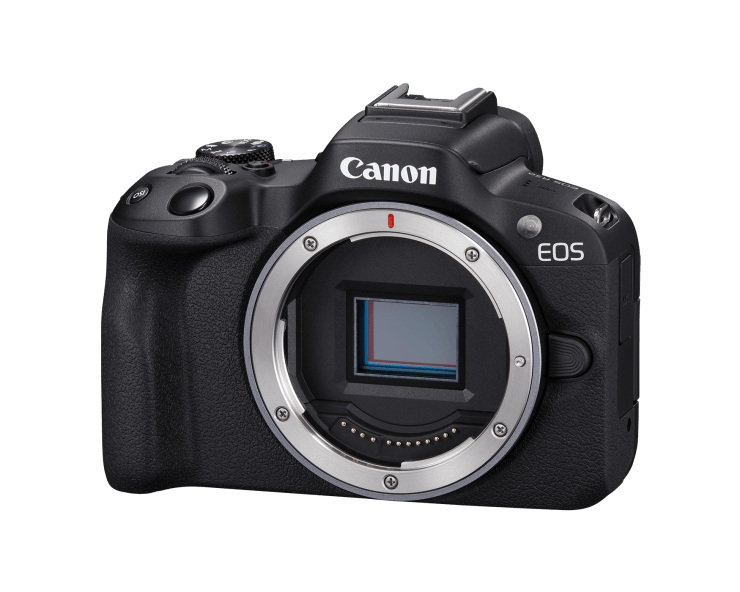 EOS R50 and EOS R8 join the Canon EOS R mirrorless camera system – OAK ...