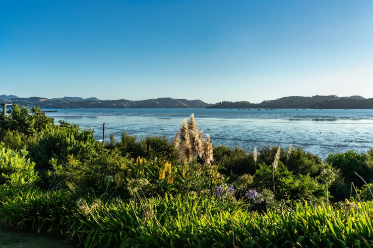 Travel notes: Coromandel Peninsula, New Zealand – OAK COVER Magazine