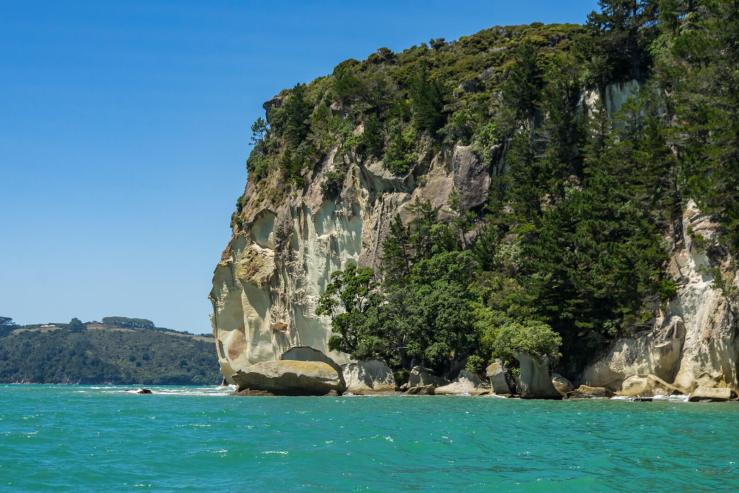 Travel notes: Coromandel Peninsula, New Zealand – OAK COVER Magazine