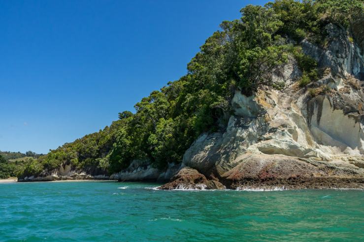 Travel notes: Coromandel Peninsula, New Zealand – OAK COVER Magazine