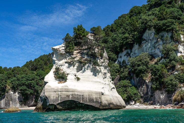 Travel notes: Coromandel Peninsula, New Zealand – OAK COVER Magazine