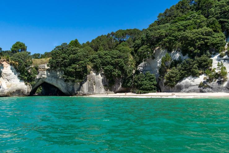 Travel notes: Coromandel Peninsula, New Zealand – OAK COVER Magazine