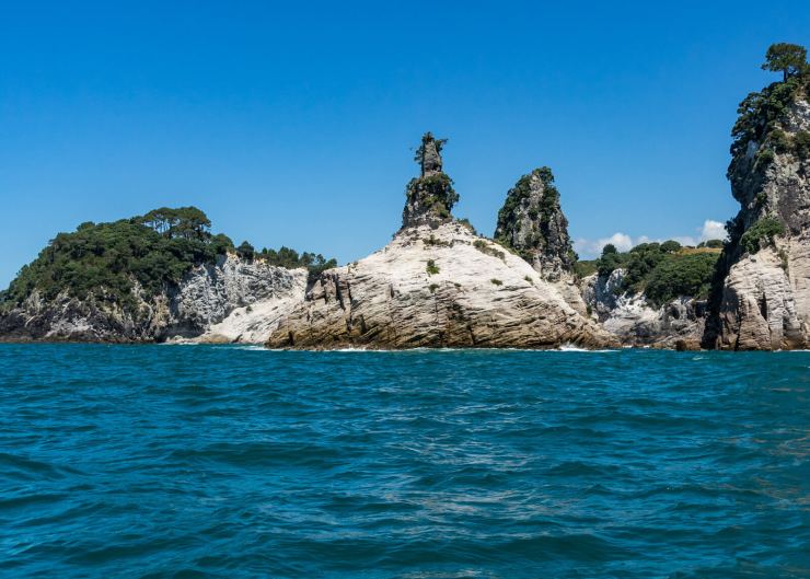 Travel notes: Coromandel Peninsula, New Zealand – OAK COVER Magazine